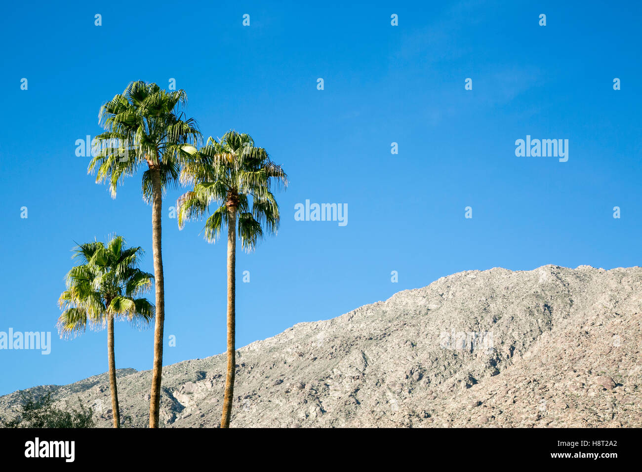 Desert hilltops hi-res stock photography and images - Alamy