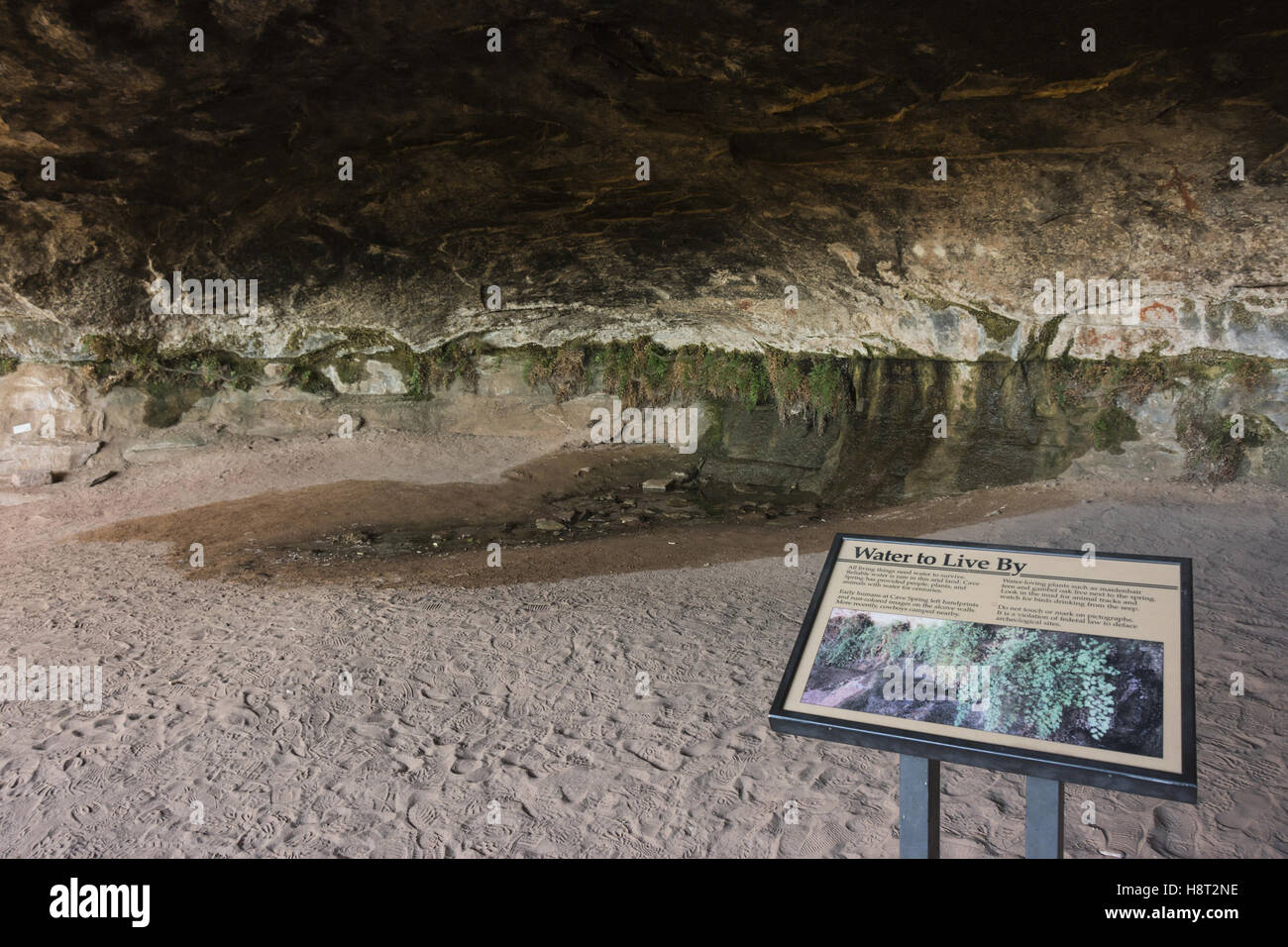 Utah, Canyonlands National Park, Needles District, Cave Spring Cowboy ...