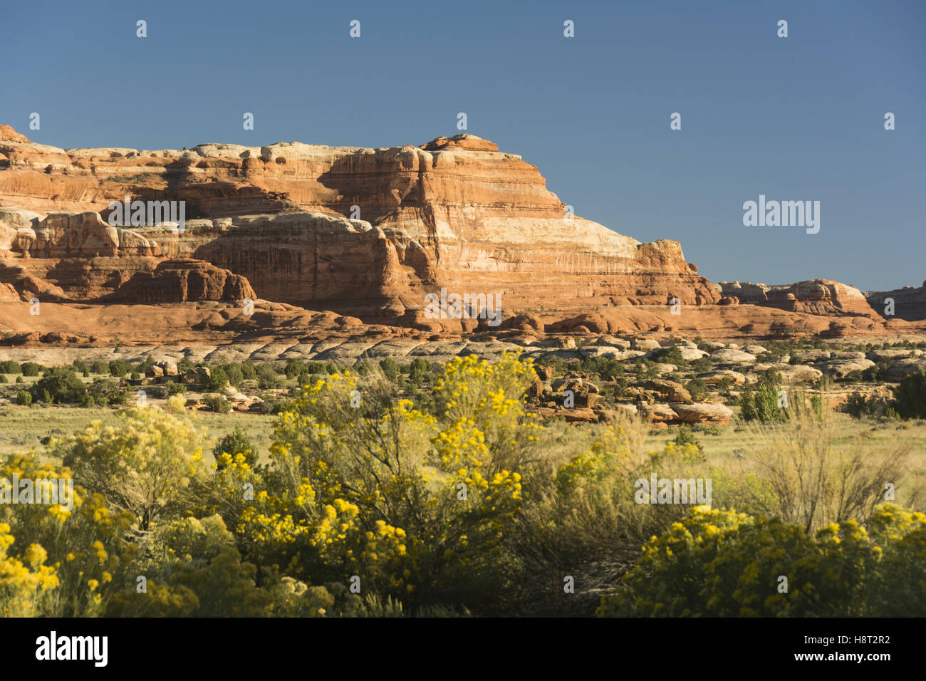 Utah, Canyonlands National Park, Needles District, Squaw Flat area ...