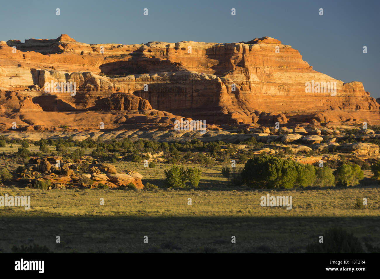 Utah, Canyonlands National Park, Needles District, Squaw Flat area ...