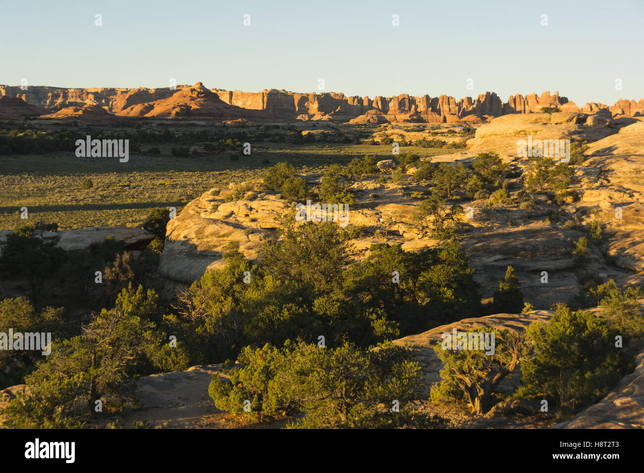Utah, Canyonlands National Park, Needles District, Squaw Flat area ...