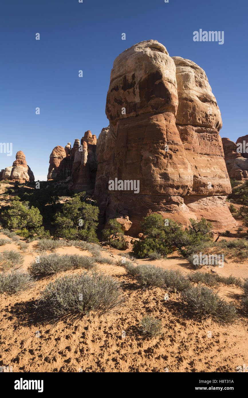 Canyonlands national park needles district hi-res stock photography and ...