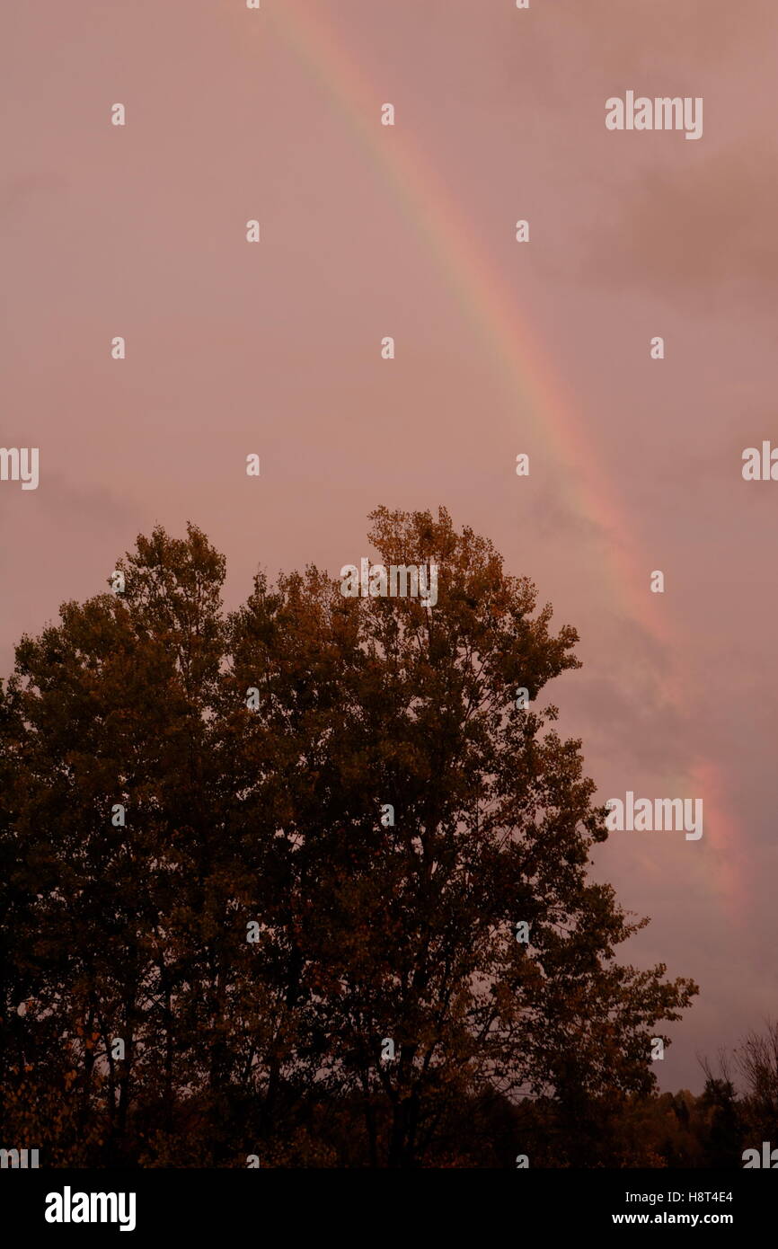 Pink sky rainbow hi-res stock photography and images - Alamy