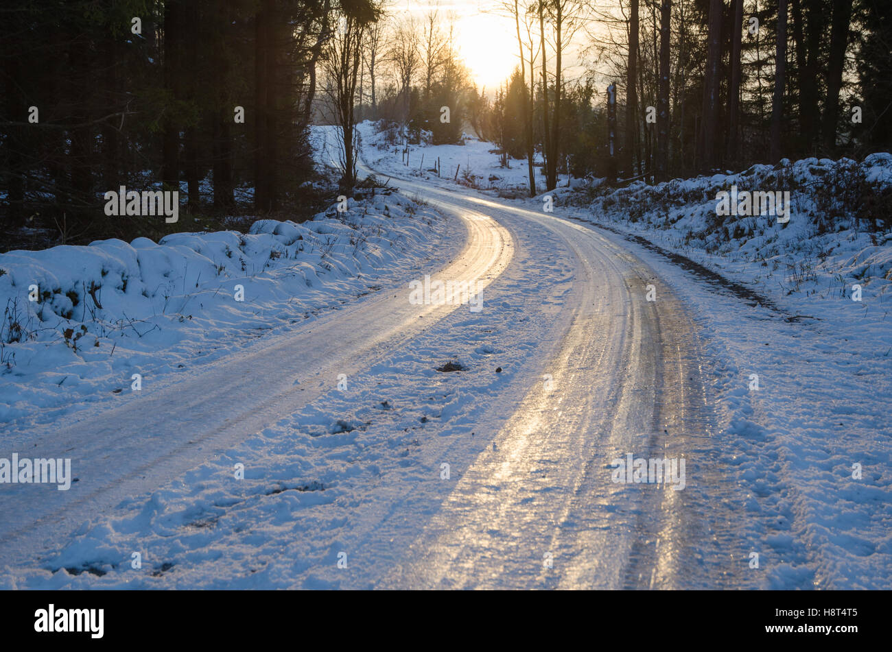 Slippery and icy gravel road with reflections through a forest at ...