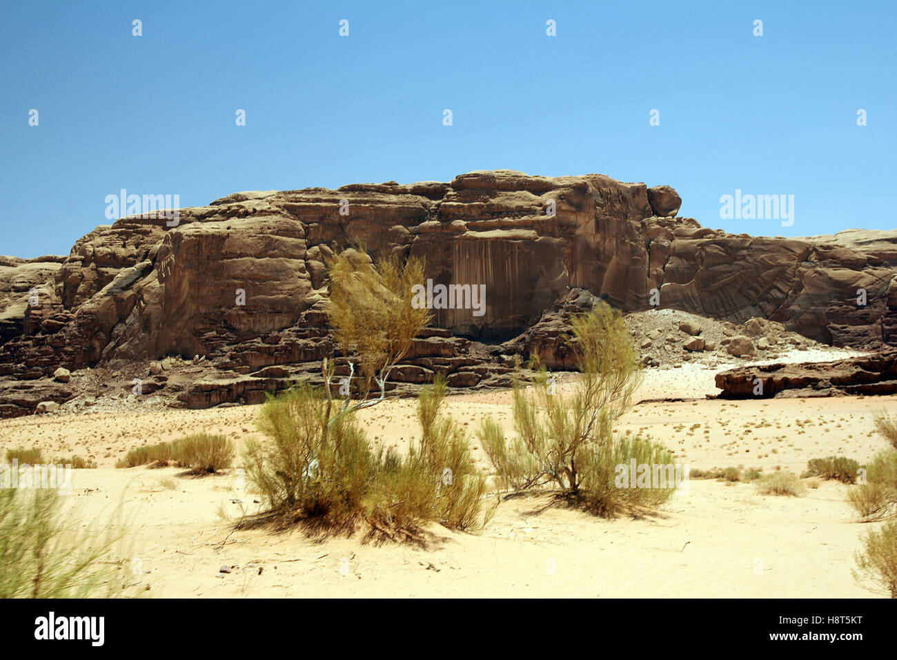 Valley of Wadi Rum, desert in Jordan Stock Photo - Alamy