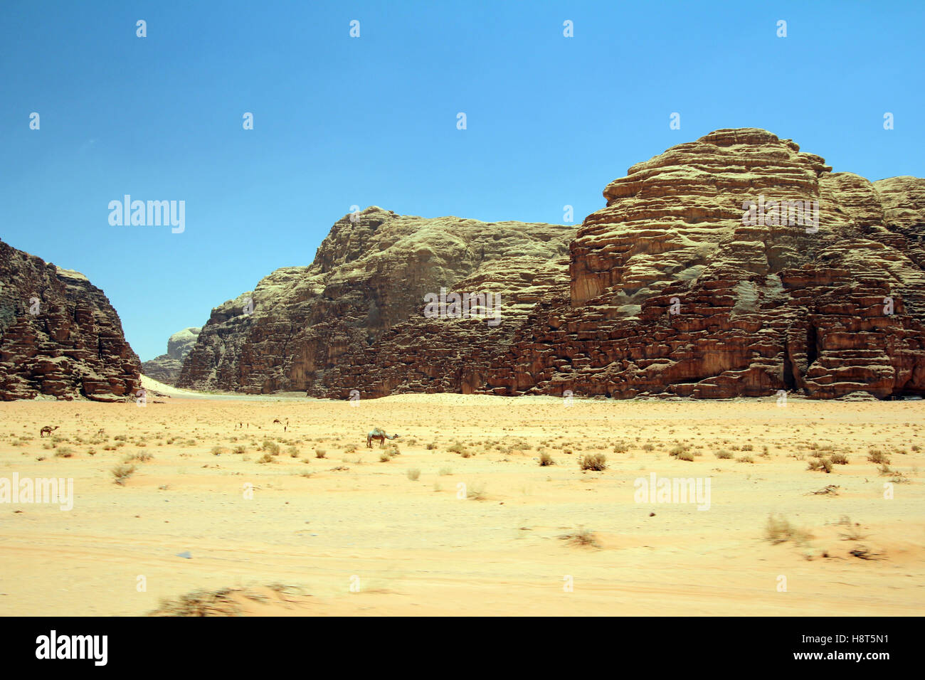 Valley of Wadi Rum, desert in Jordan Stock Photo - Alamy