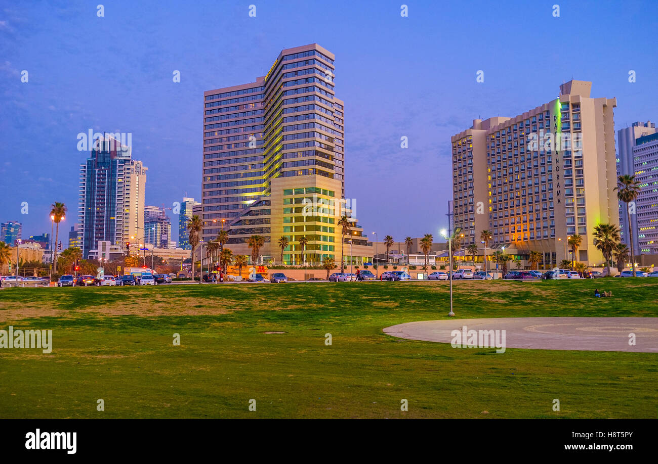 The green meadow of Charles Clore Park with the modern hotels on the ...