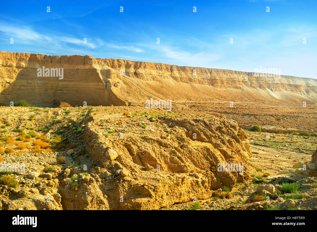 The unique landscape of Negev desert with the steep rocky slopes ...
