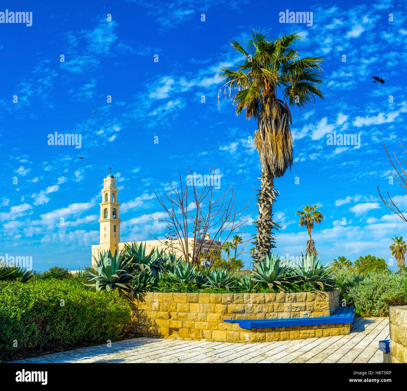 The Abraham Shechterman Garden is one of the highest points in old ...