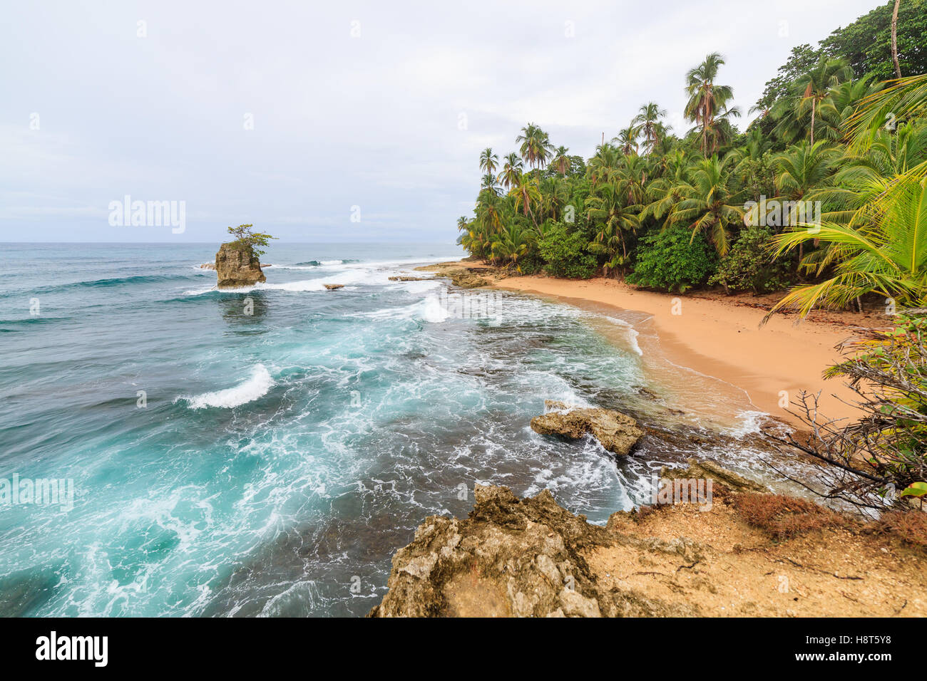 Idyllic beach Manzanillo Costa Rica Stock Photo - Alamy