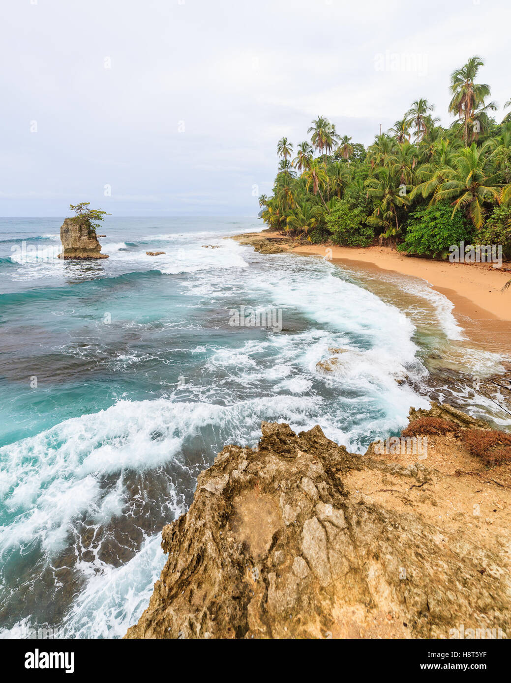 Idyllic beach Manzanillo Costa Rica Stock Photo - Alamy