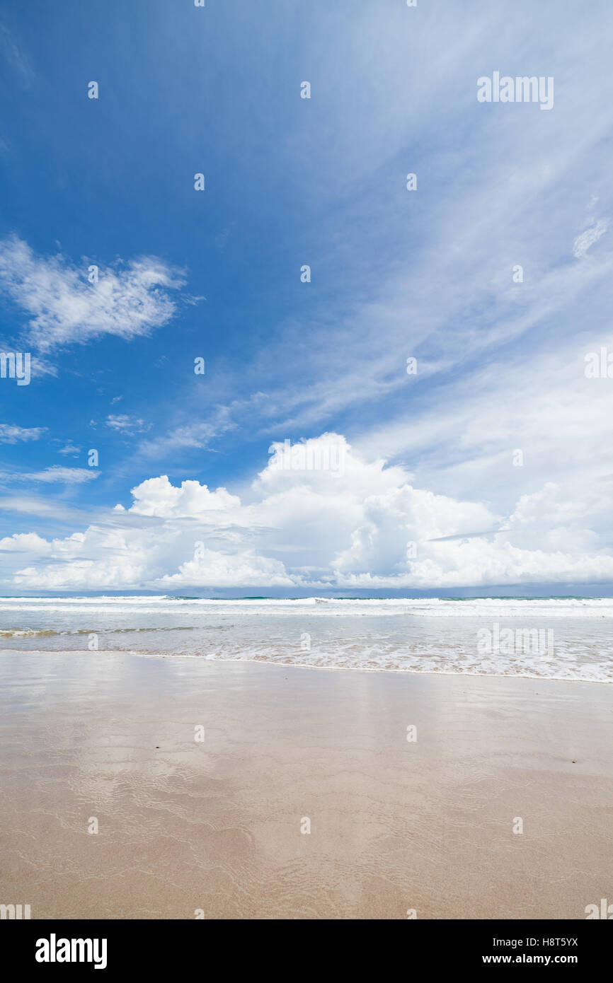 Tropical beach low angle hi-res stock photography and images - Alamy