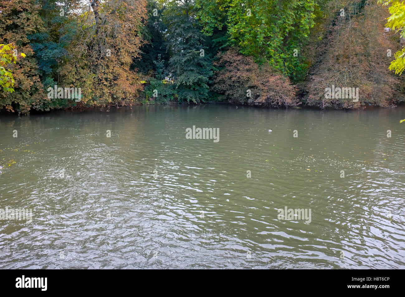 Guildford Canal River Wey Stock Photo - Alamy