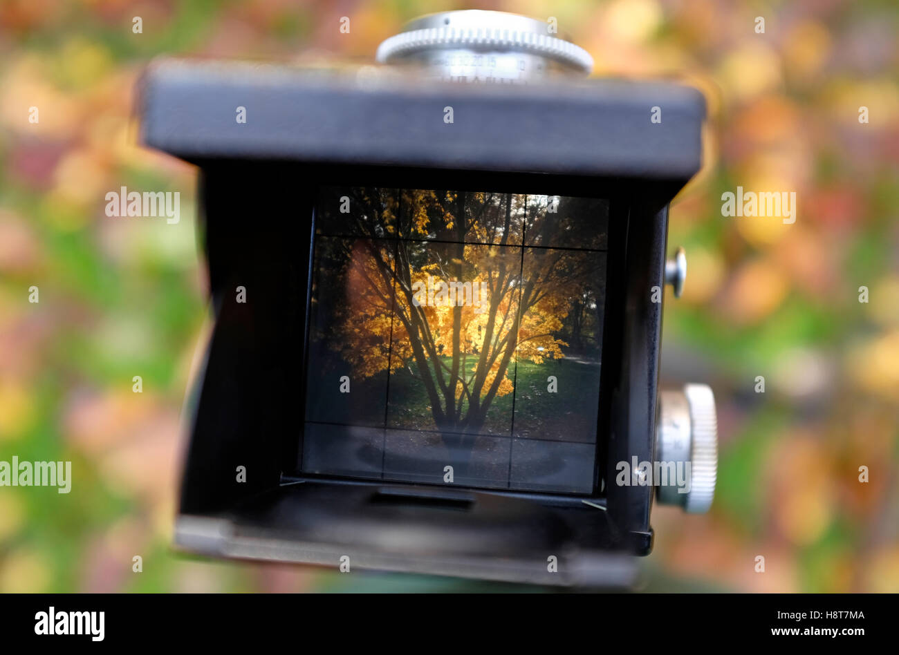 Reflex screen hi-res stock photography and images - Alamy