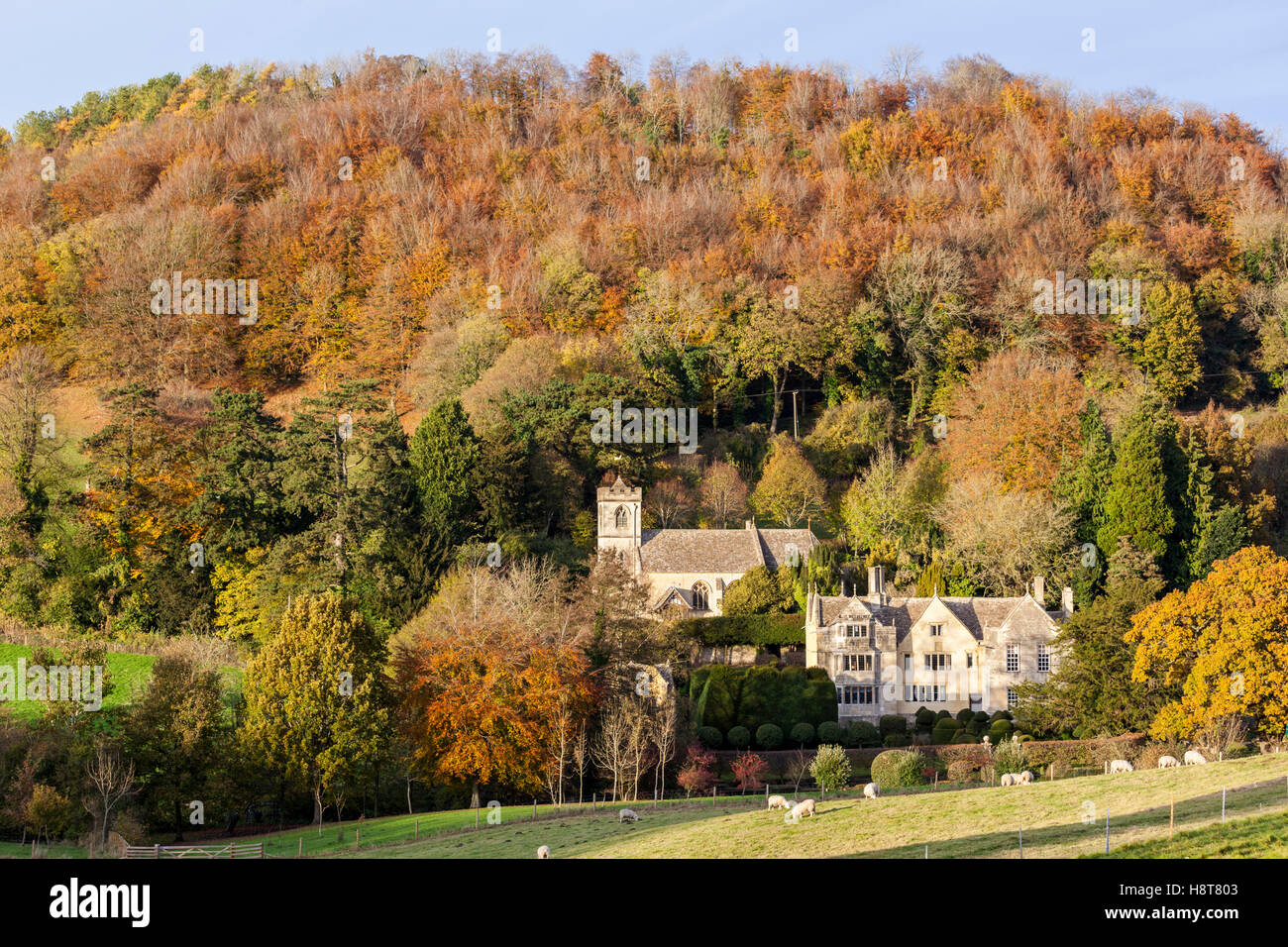 Sheep in field cotswolds uk hi-res stock photography and images - Alamy