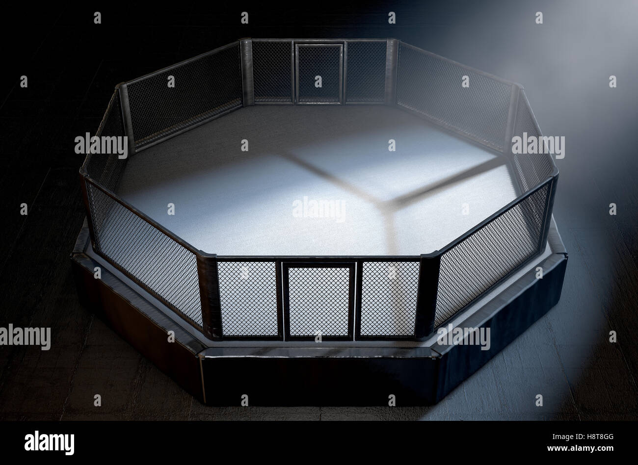 Octagon Cage Overhead