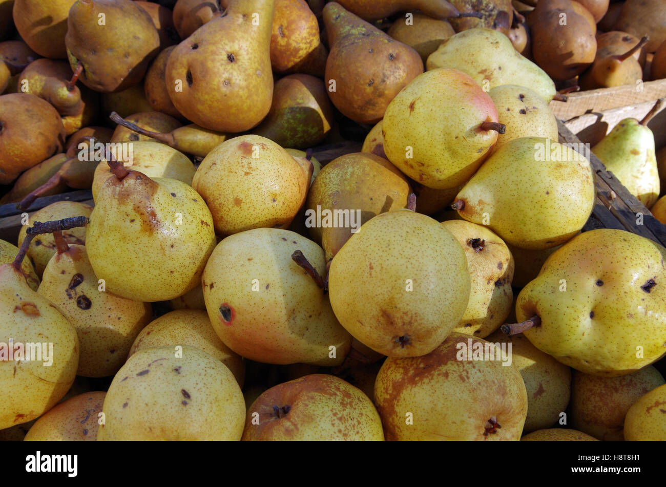 Yellow pear varieties in rustic market crates Stock Photo - Alamy