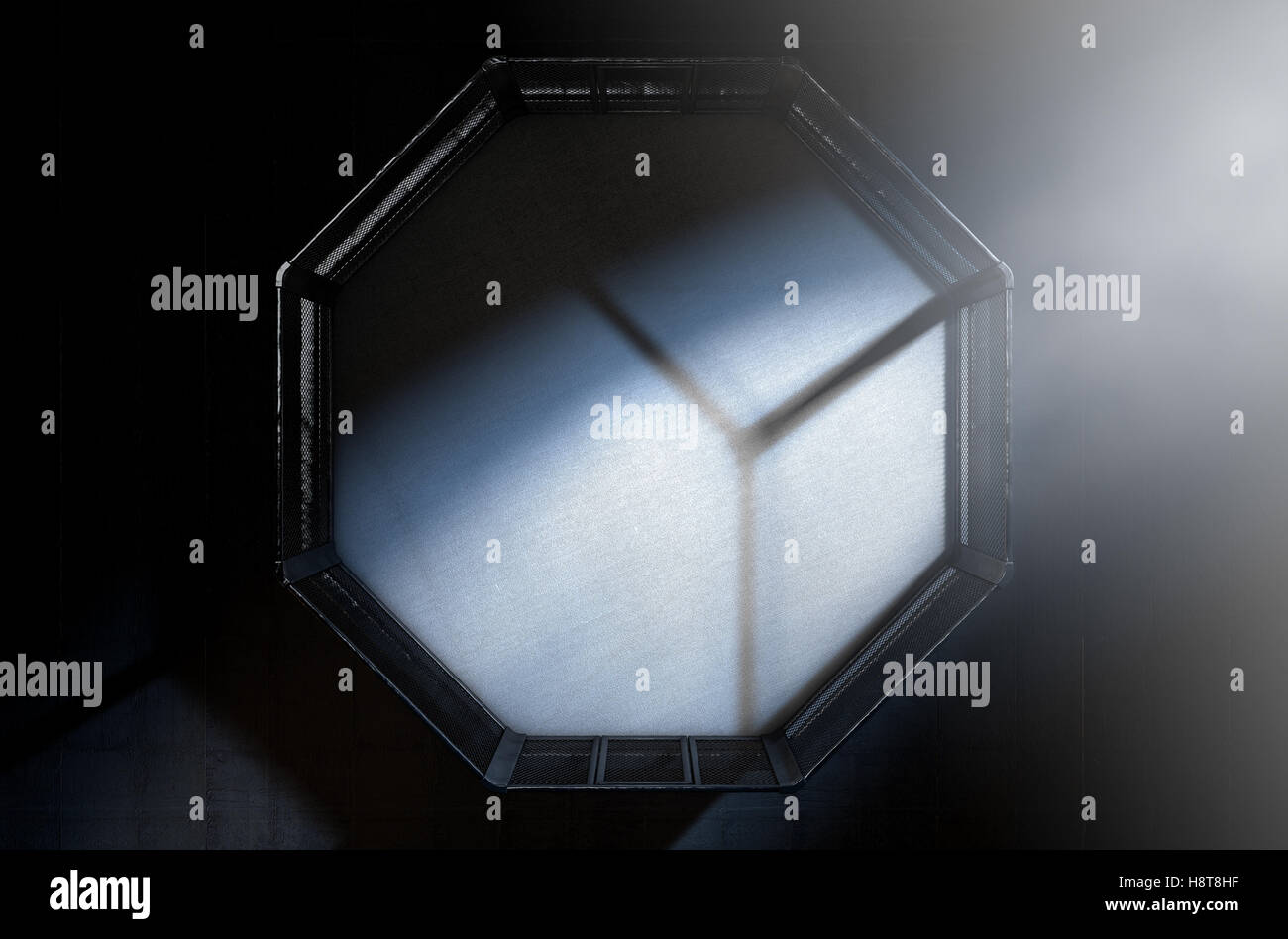 3d render mma fight cage hi-res stock photography and images - Alamy