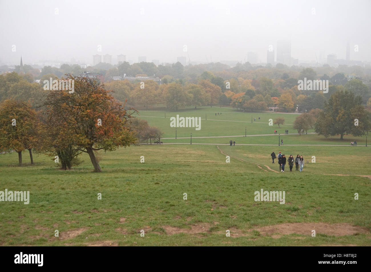 View from the top of Primrose Hill, London, England Stock Photo - Alamy