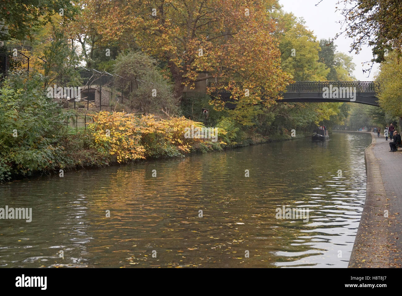 Regent's Canal near Regent's Park - you can see London zoo's warthog ...