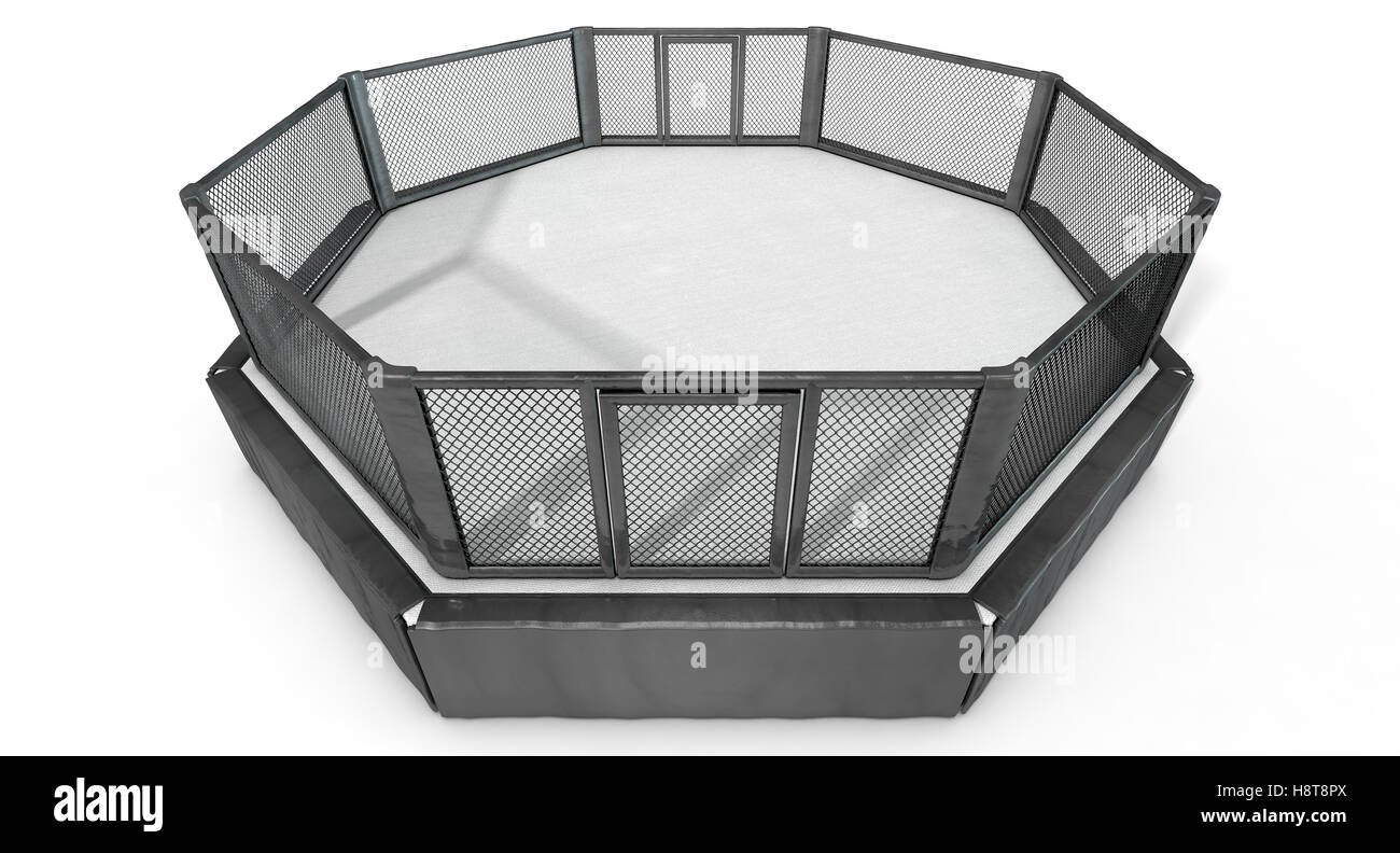 A 3D render of an MMA fight cage arena dressed in black padding on an ...