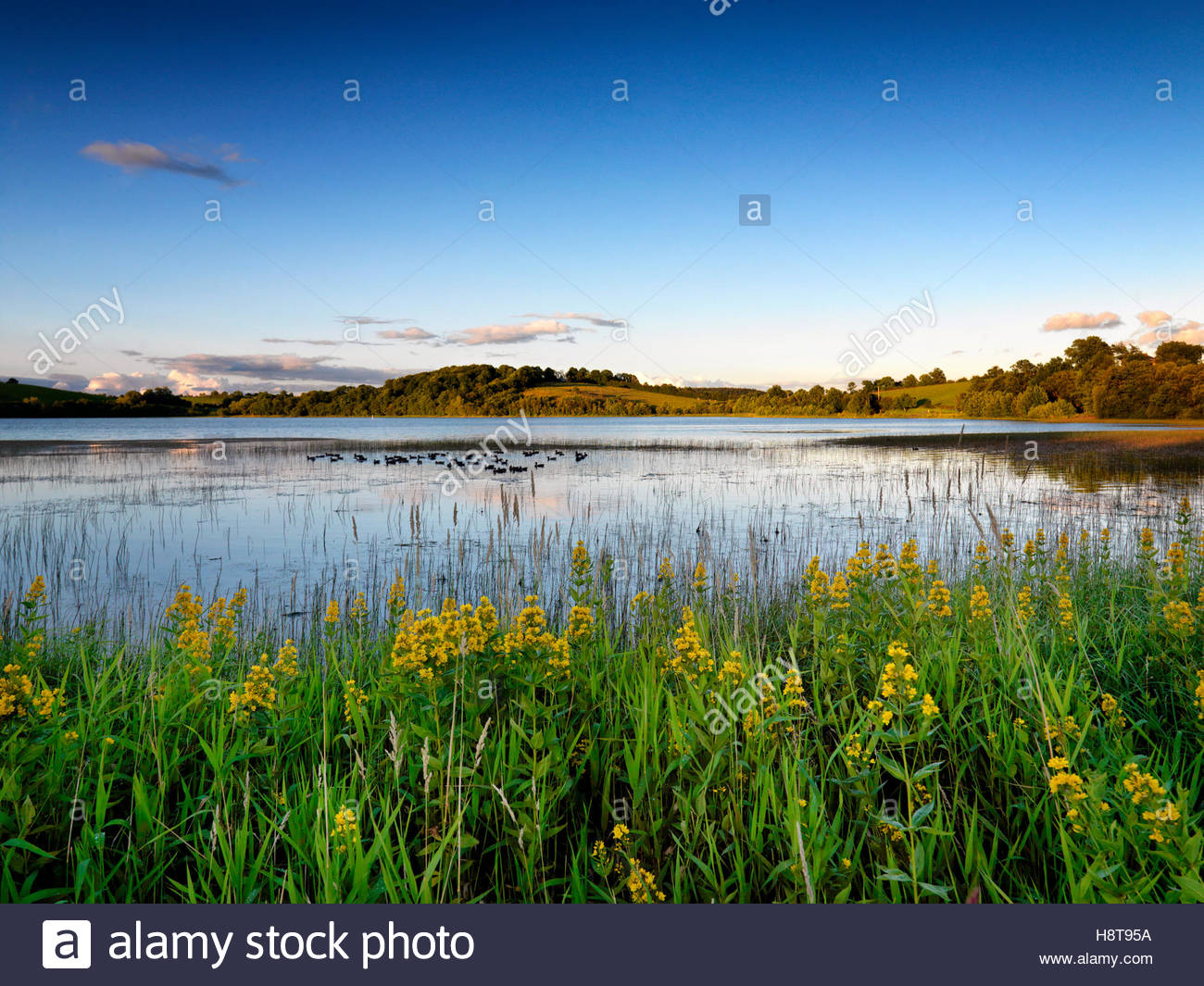 County Monaghan Ireland Stock Photos & County Monaghan Ireland Stock ...