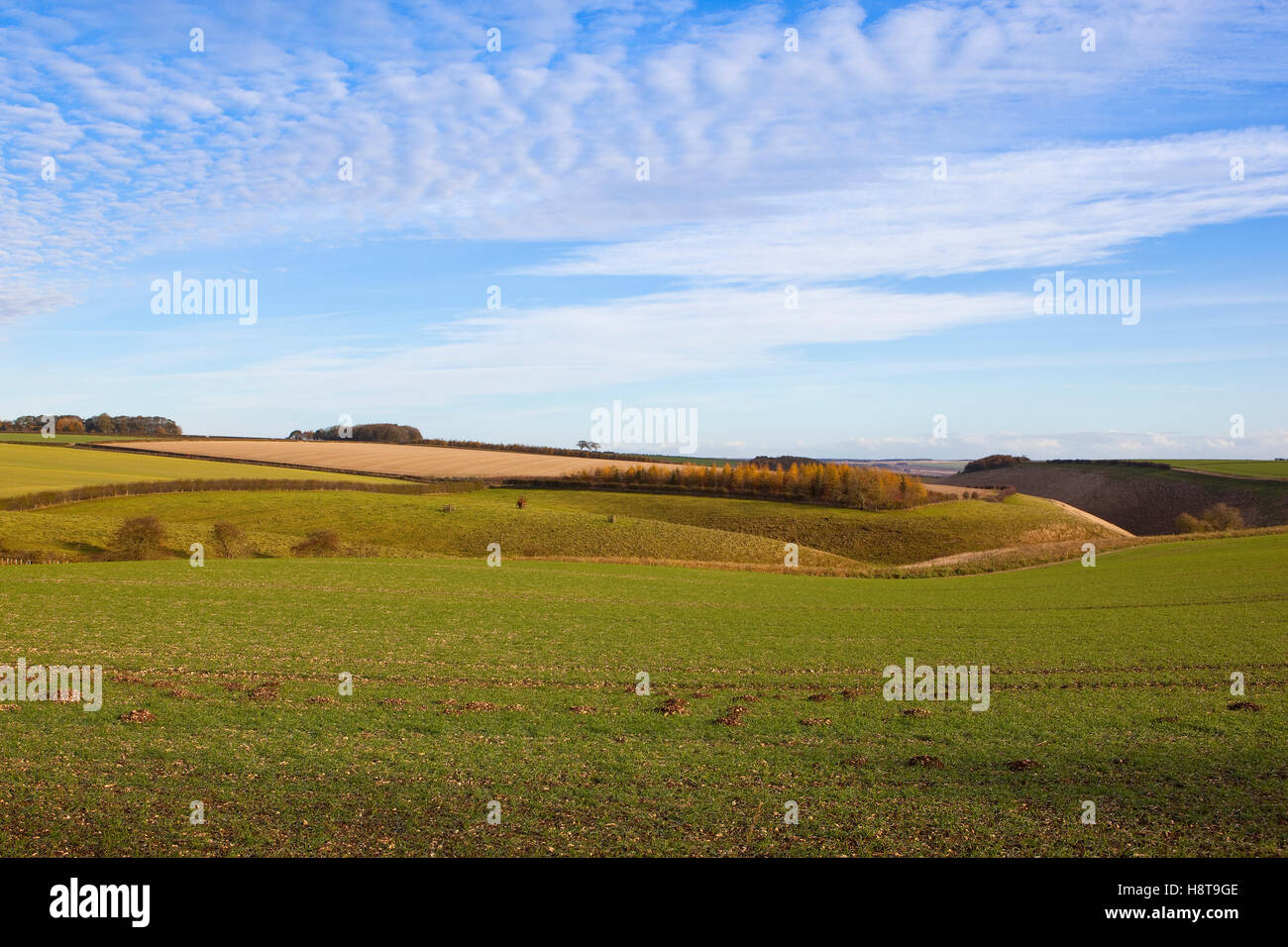 The scenic patchwork hillsides of the Yorkshire wolds above Horsedale ...