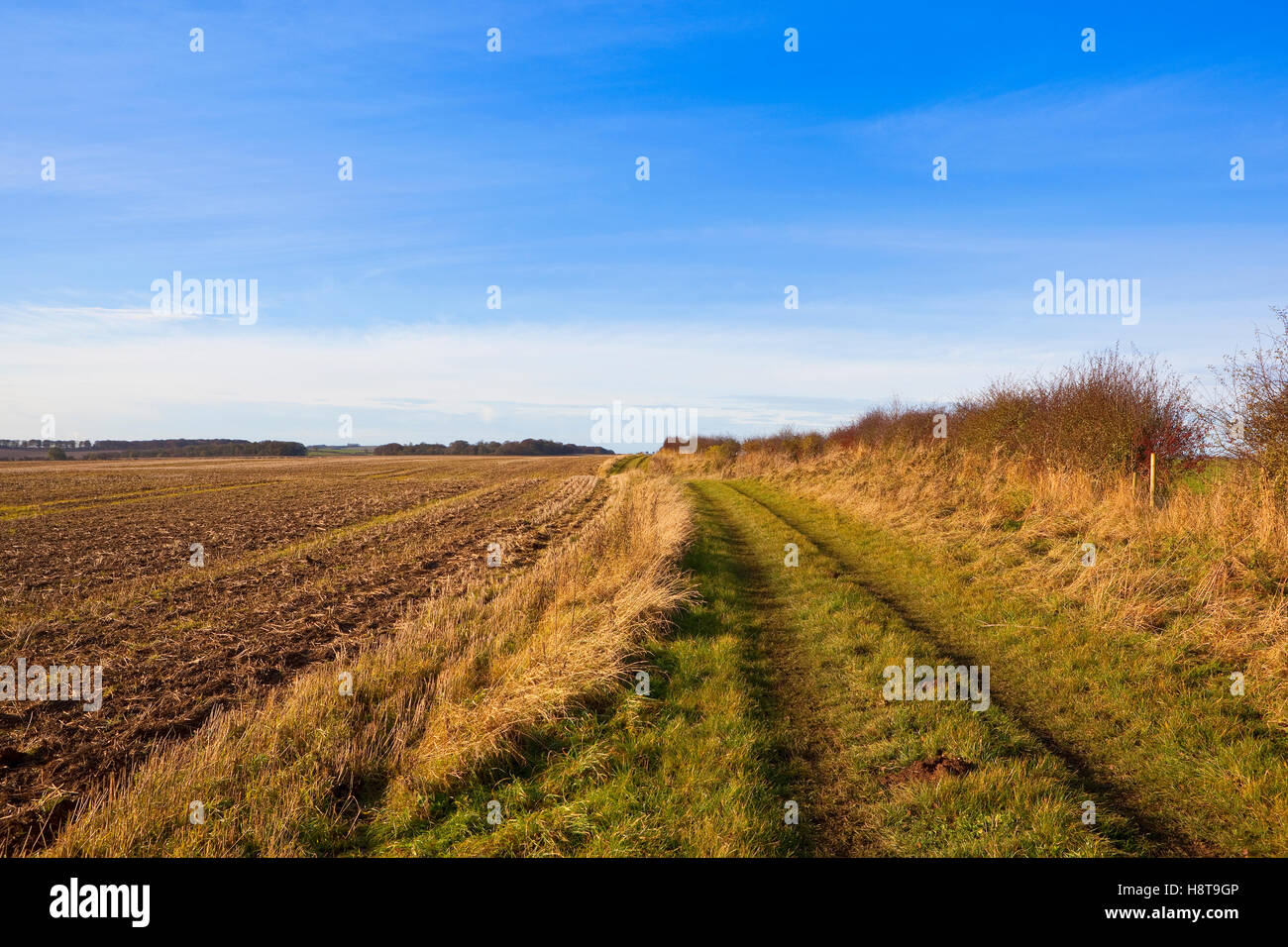 A section of the Minster way footpath through the Yorkshire wolds ...