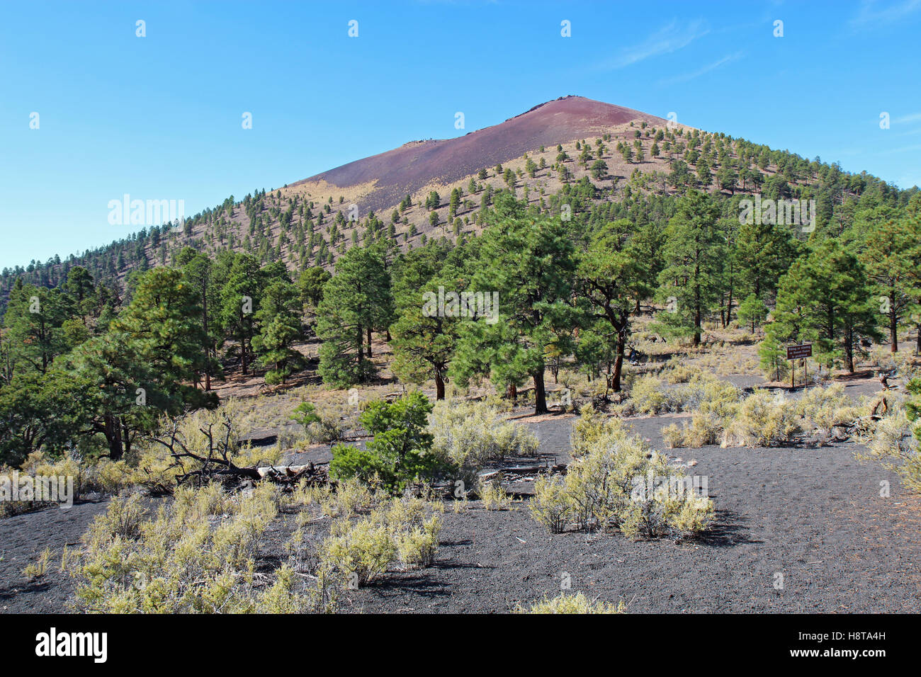 Volcanic Cinder In South Texas
