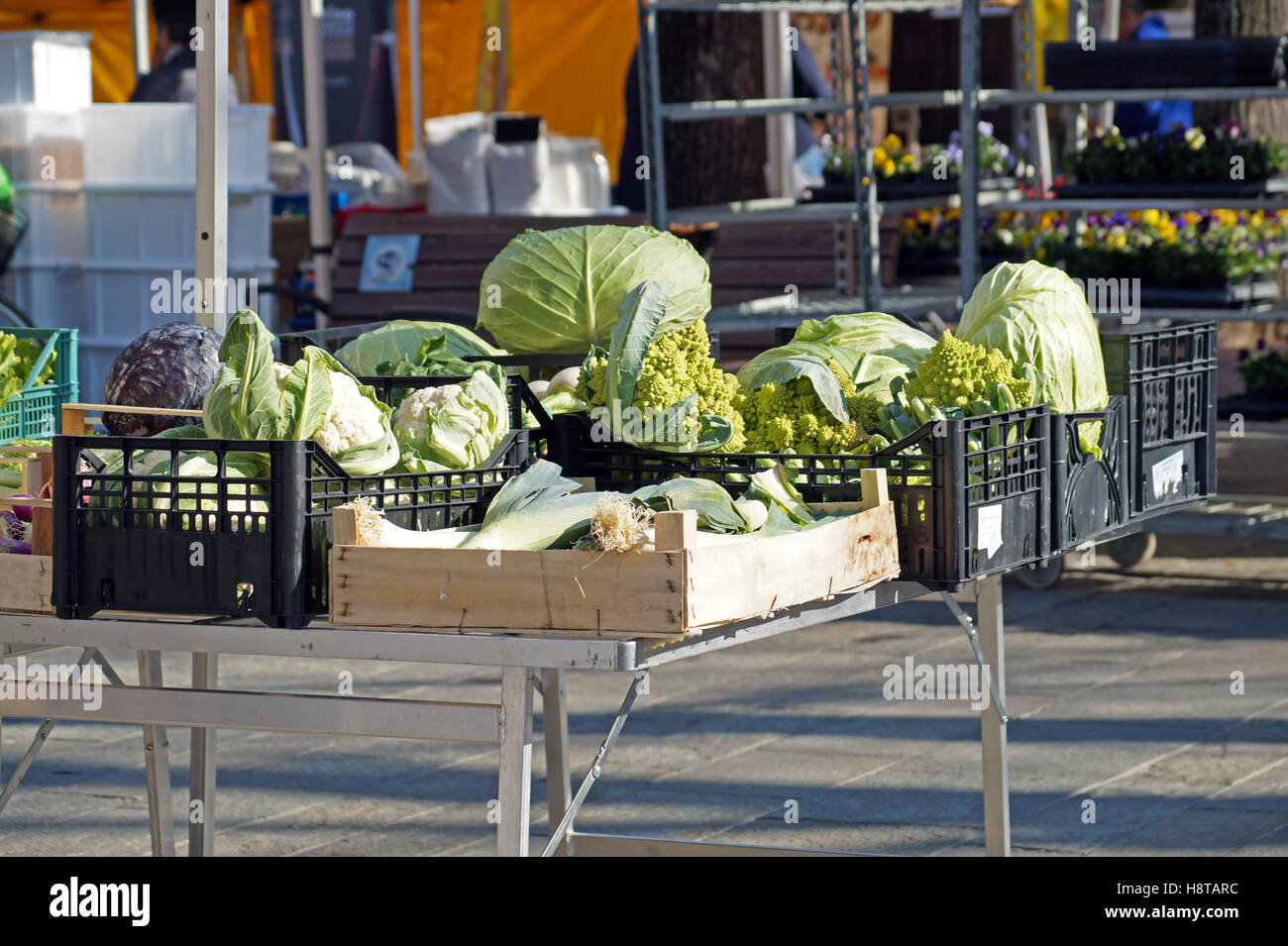 vegetables on the table of the market Stock Photo - Alamy