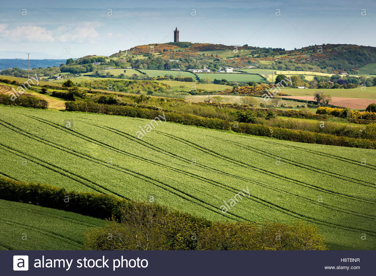 Dundonald Stock Photos & Dundonald Stock Images - Alamy