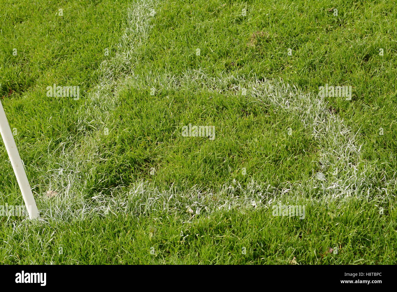 Pitch corner markings hi-res stock photography and images - Alamy