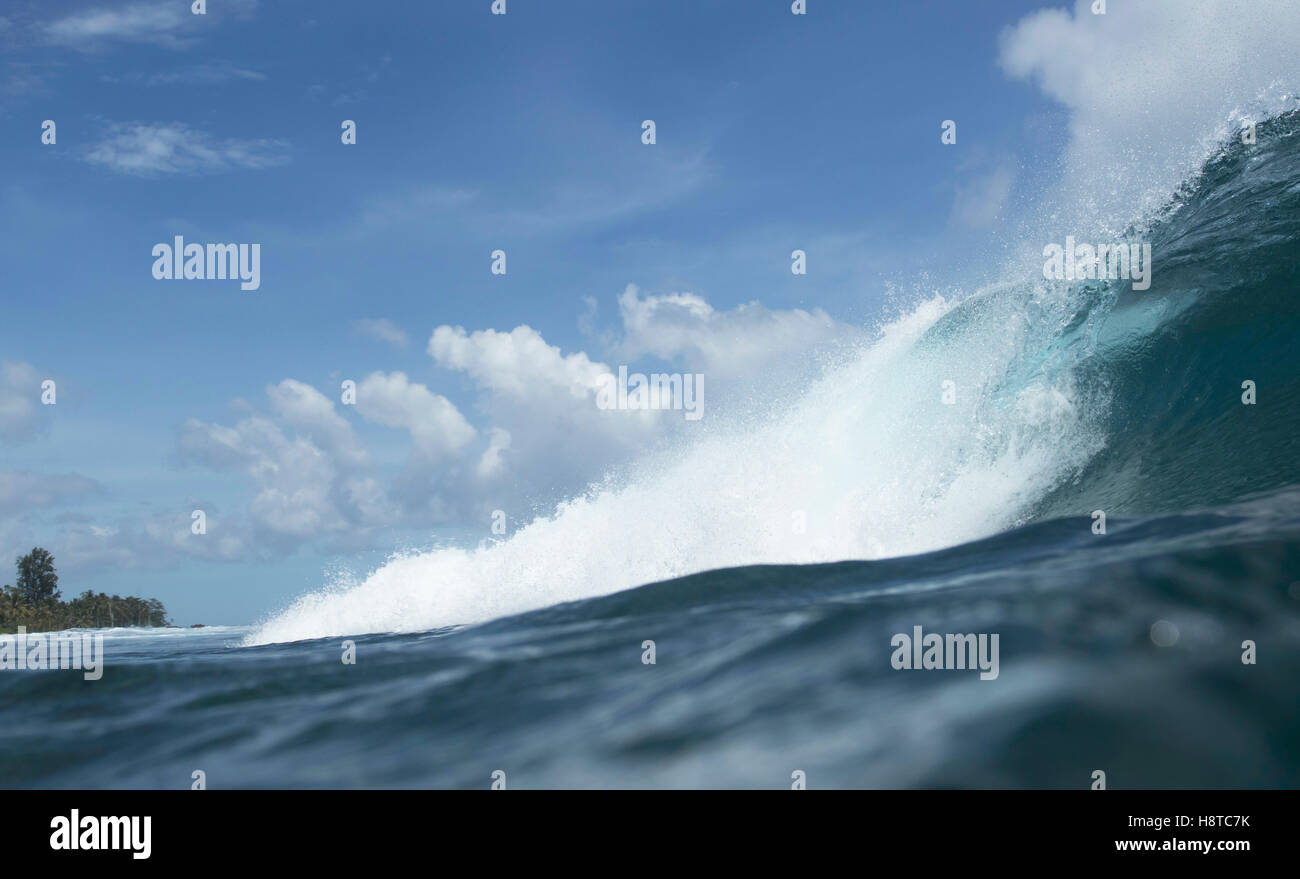 Perfect wave hi-res stock photography and images - Alamy