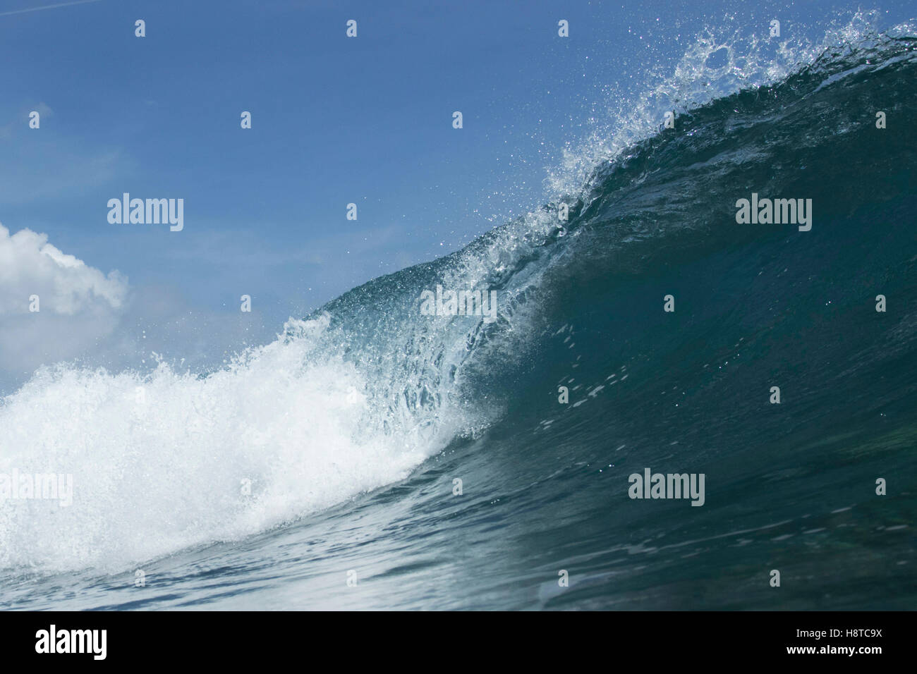 Reef wave hi-res stock photography and images - Alamy