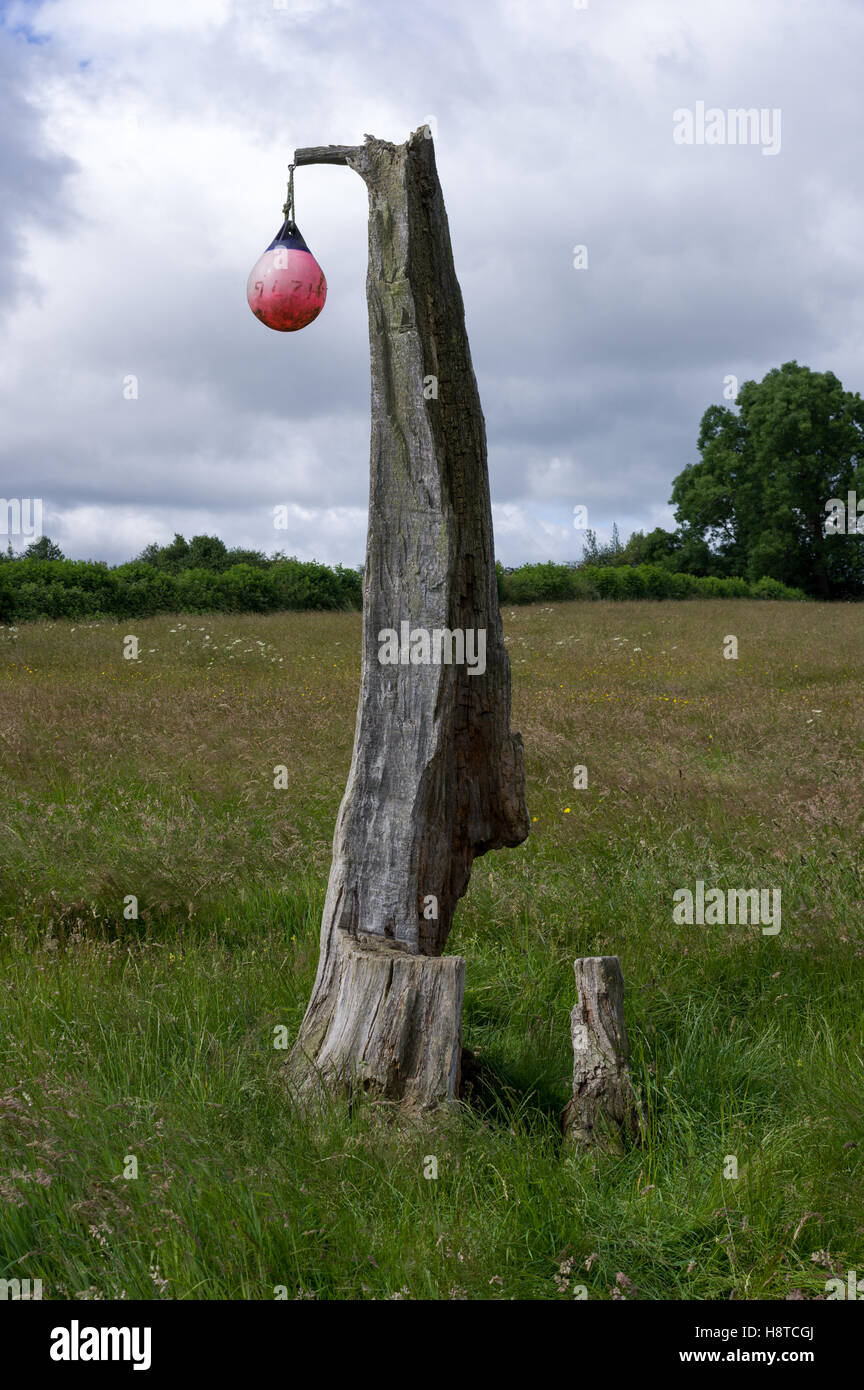 Oddball hi-res stock photography and images - Alamy