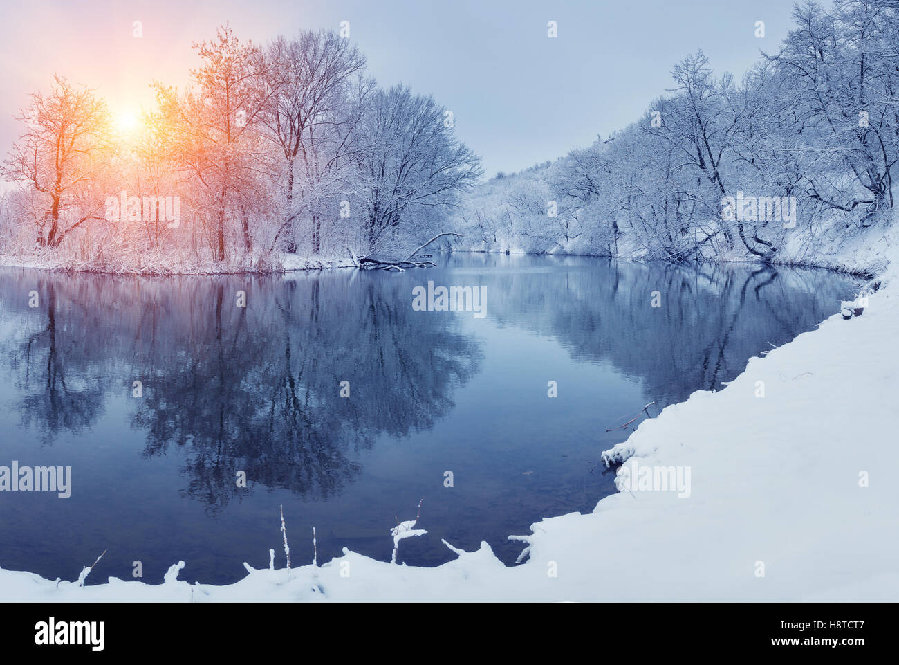 Winter forest on the river at sunset. Panoramic landscape with snowy ...