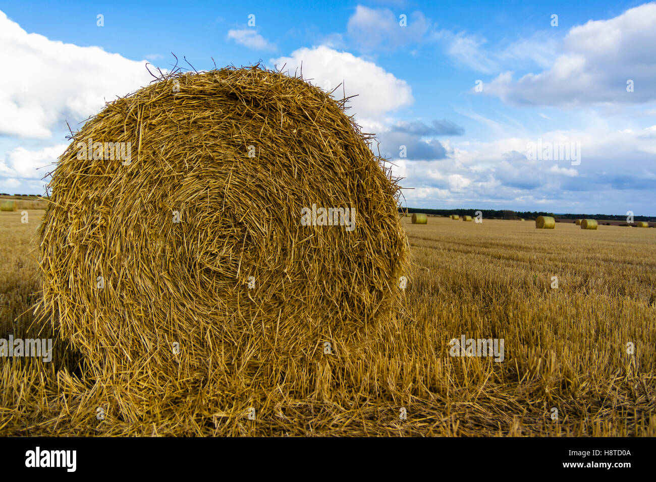 Hay drum hi-res stock photography and images - Alamy