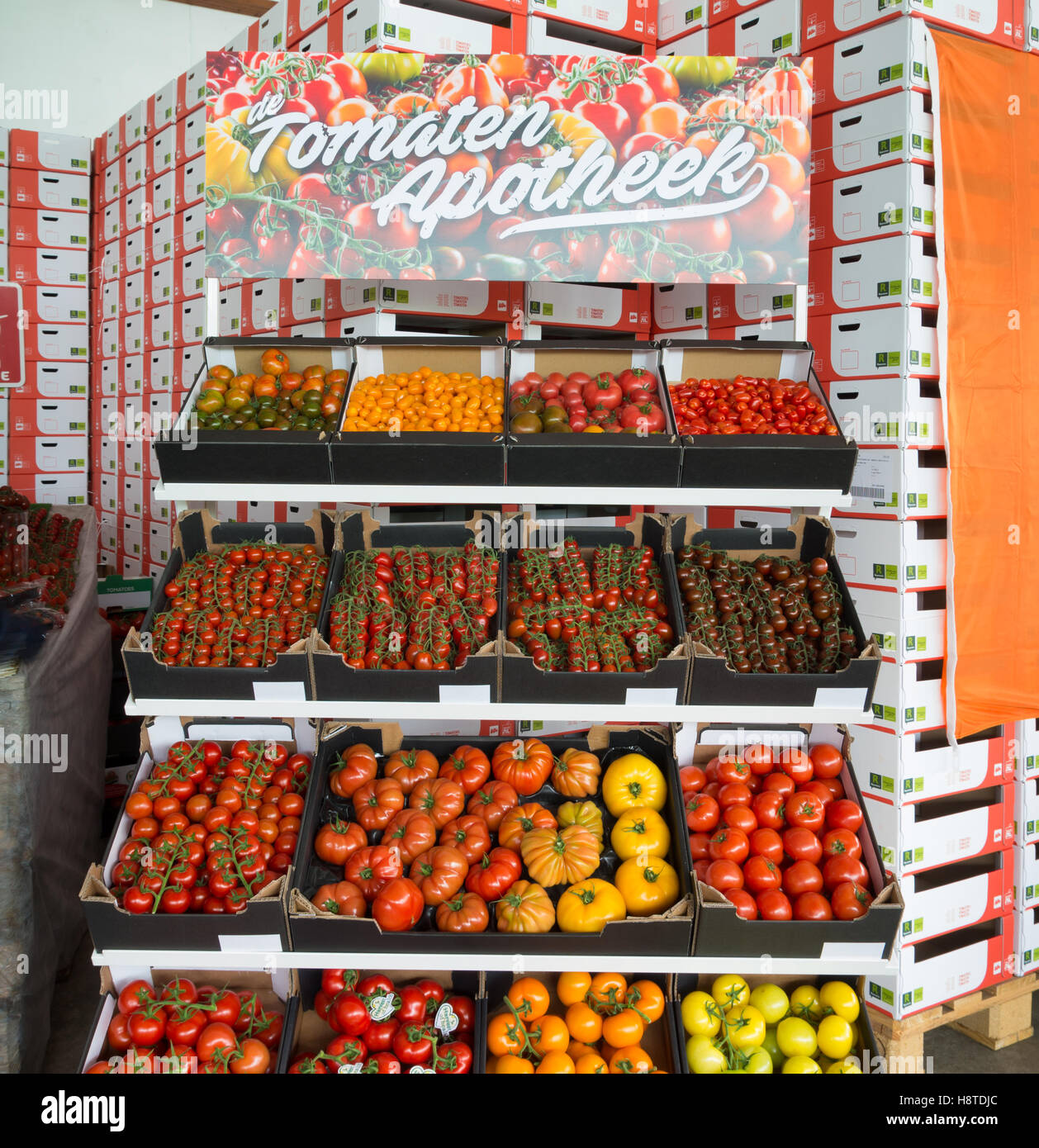 Dutch greenhouse hi-res stock photography and images - Alamy