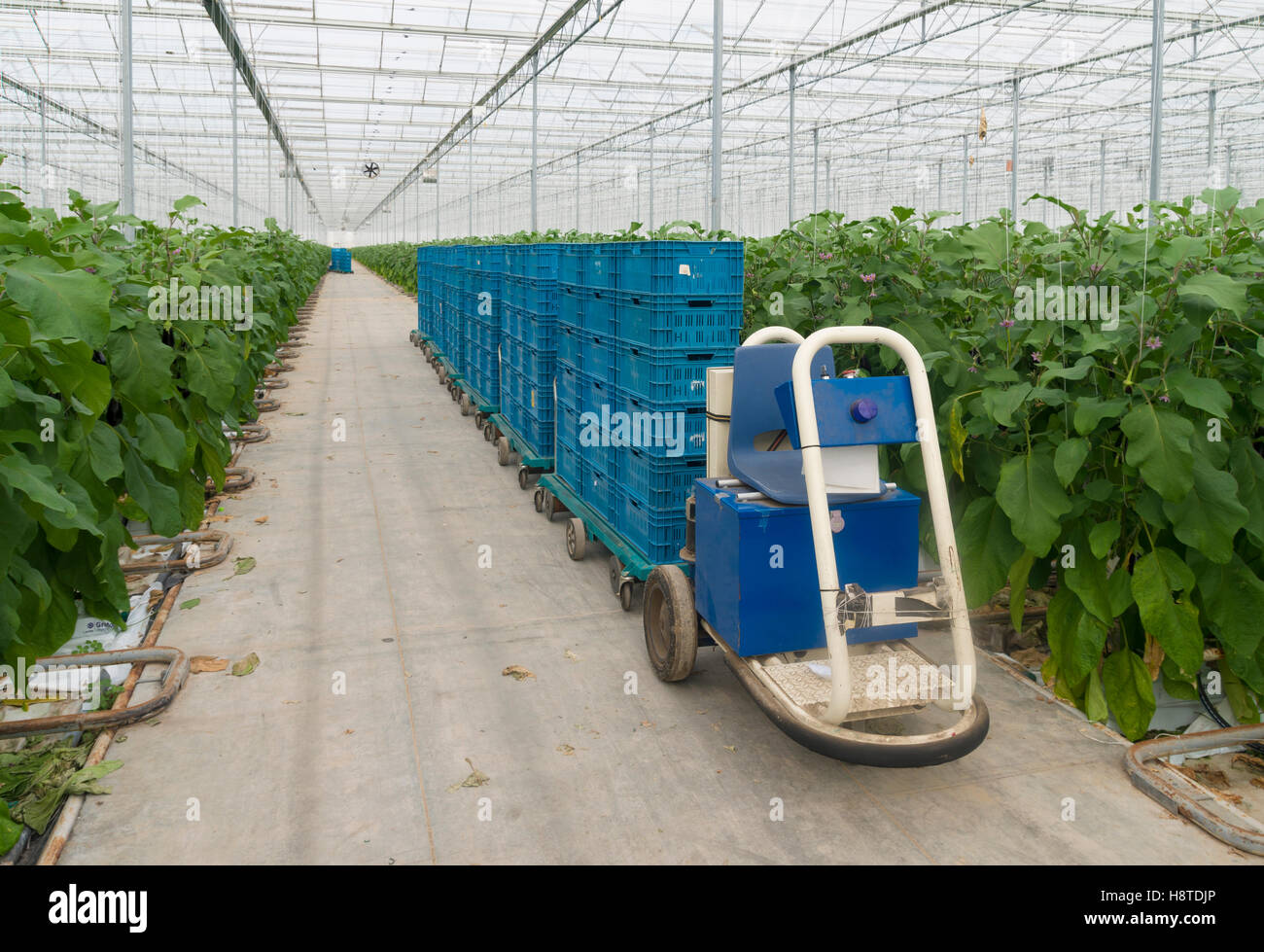 Automatic greenhouse hi-res stock photography and images - Alamy