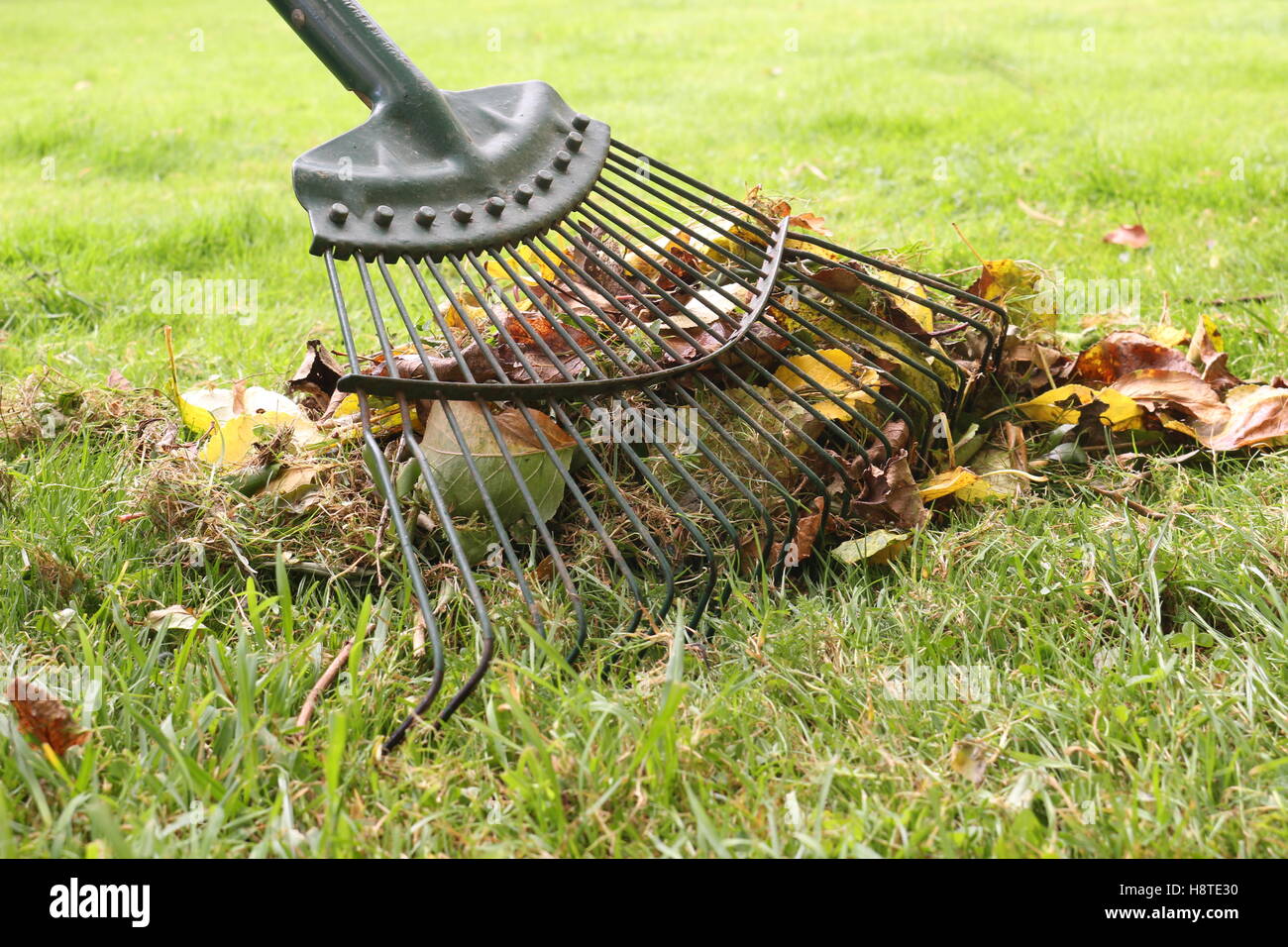 Lawn rake hi-res stock photography and images - Alamy