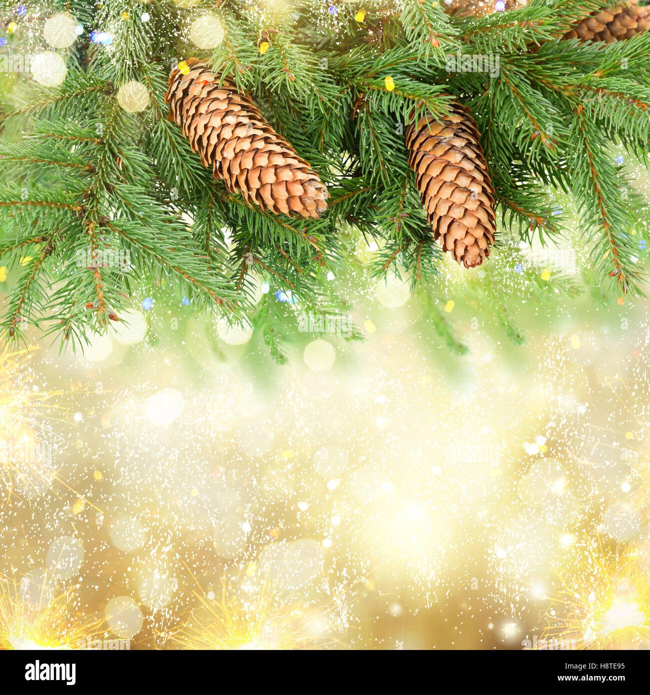 Christmas tree with lights Stock Photo - Alamy