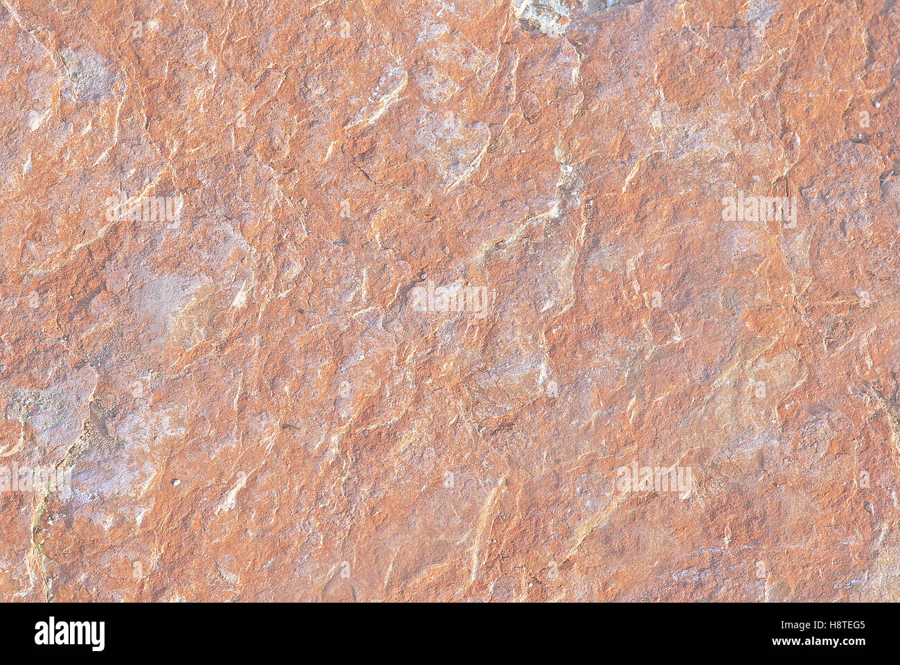 natural "scaglia rossa" red limestone, Italy Stock Photo - Alamy