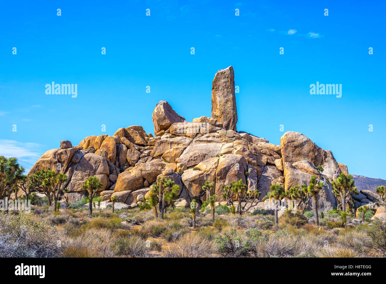 Rock formations, Joshua trees. Joshua Tree National Park, California ...