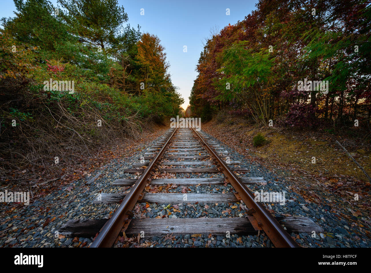 A autumn morning image captured on the train tracks in Pinnacle North ...