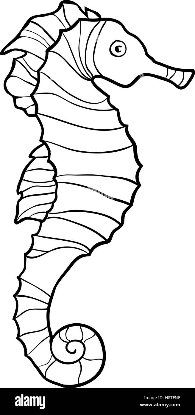 Hand drawn sea horse Black and White Stock Photos & Images - Alamy