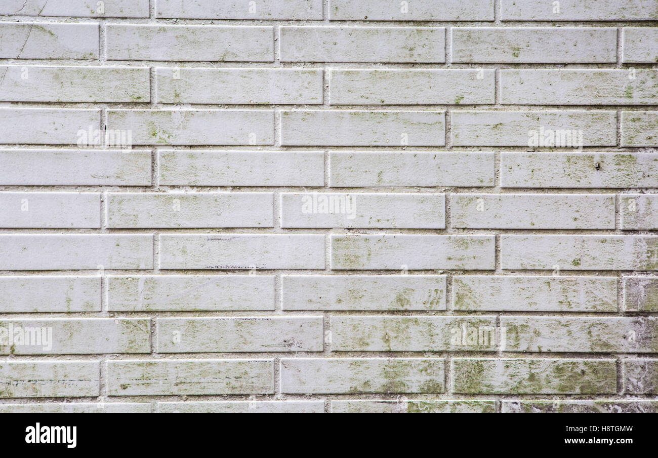 White brick wall, close up look of brick wall with moss Stock Photo - Alamy
