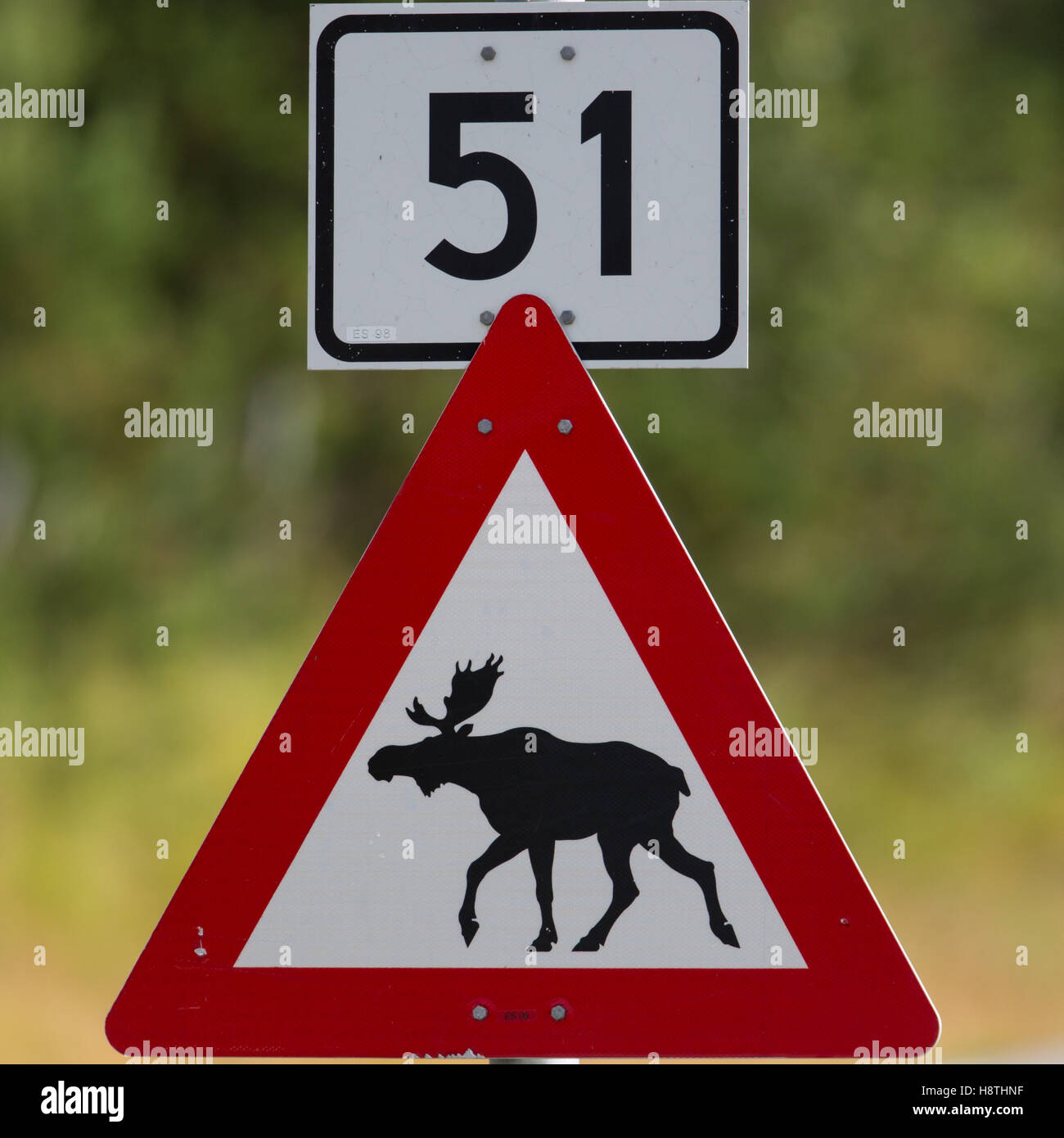 Traffic sign with moose Stock Photo - Alamy