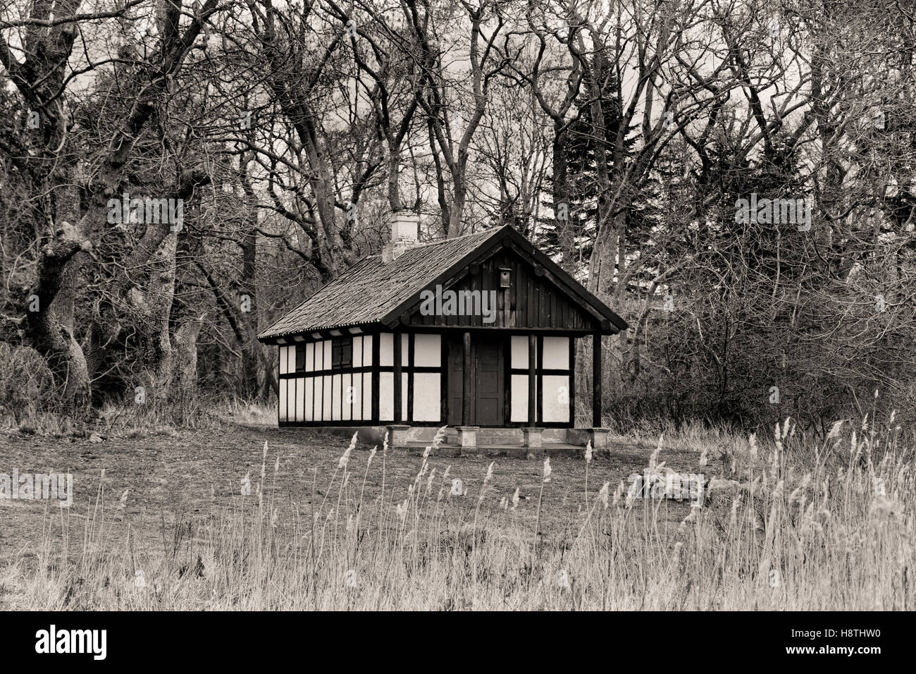 Black and white shot of a hunting hut in a forest Stock Photo - Alamy