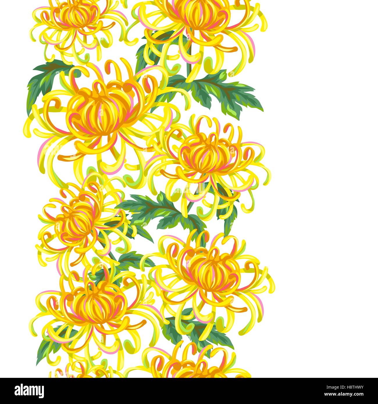Seamless pattern with chrysanthemum flowers. Bright buds and leaves ...