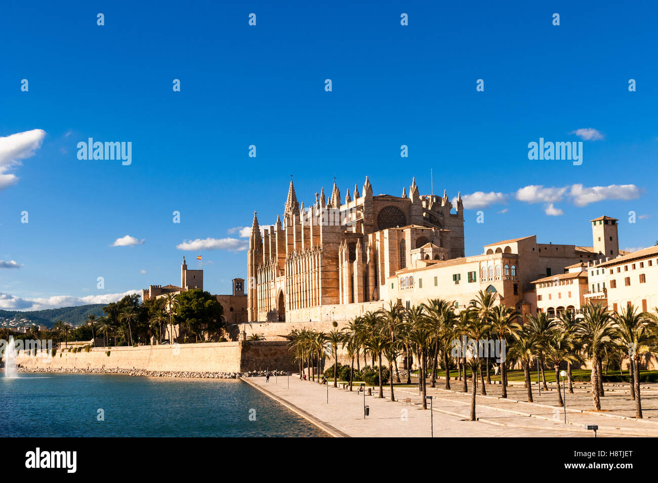 Cathedral of Palma de Majorca Stock Photo - Alamy